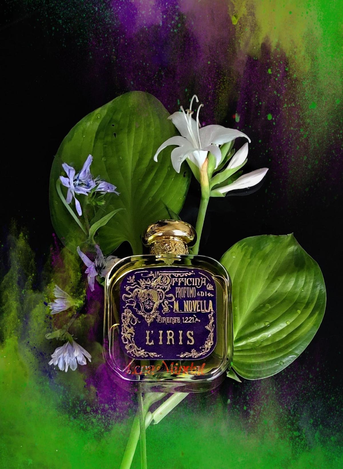 L'Iris Santa Maria Novella perfume - a new fragrance for women and men 2022