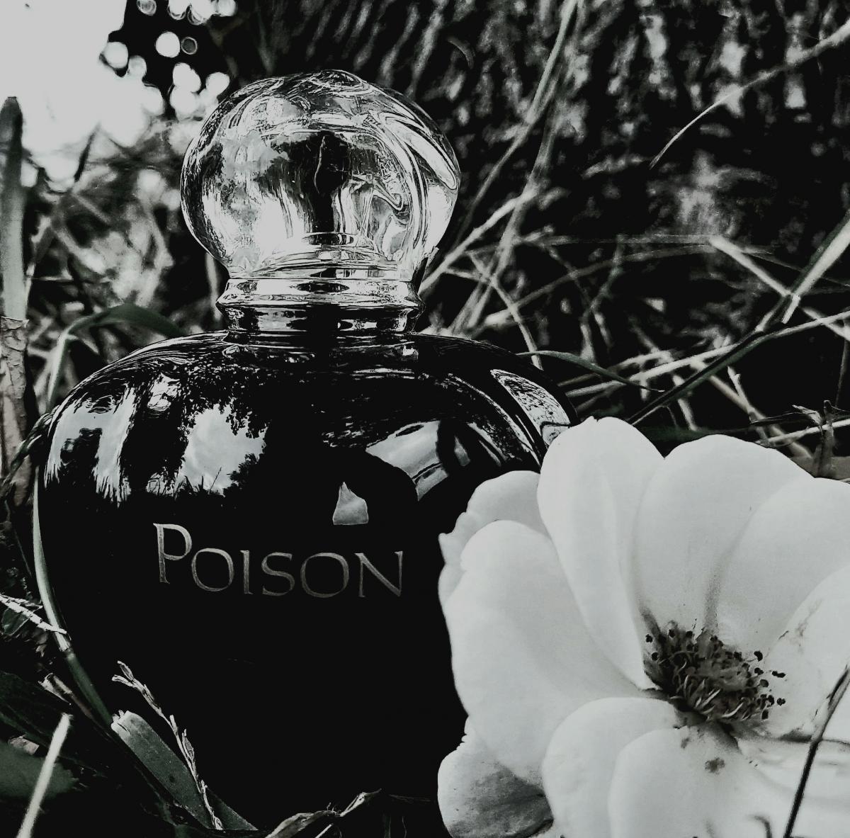 Poison Dior perfume - a fragrance for women 1985