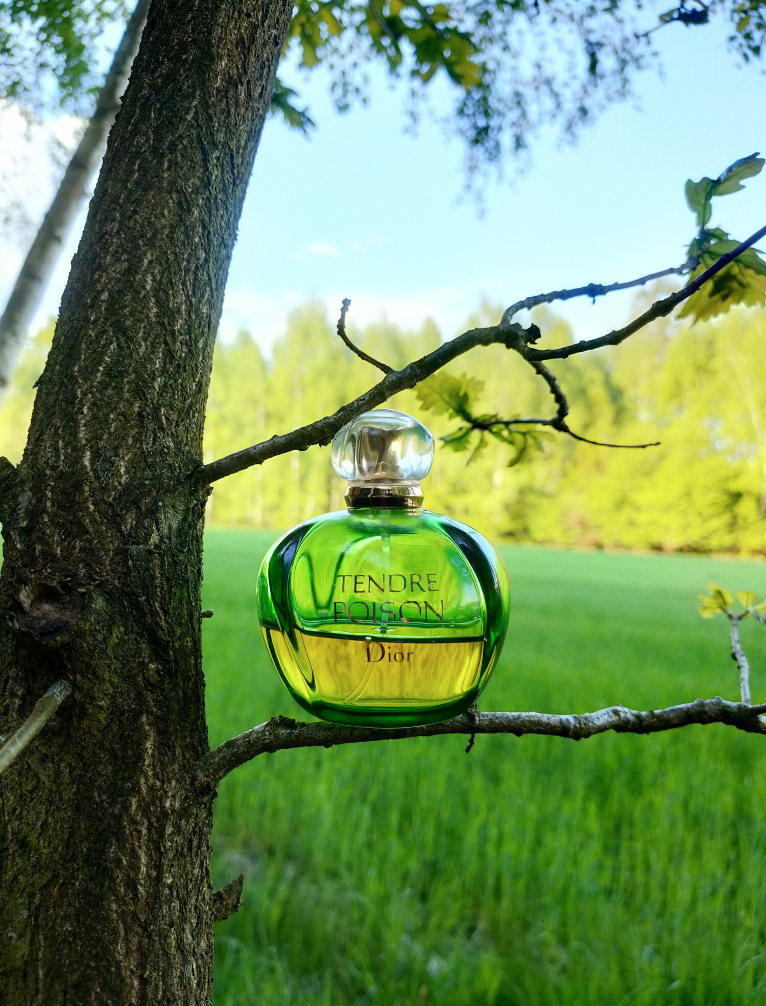 Tendre Poison Dior perfume - a fragrance for women 1994