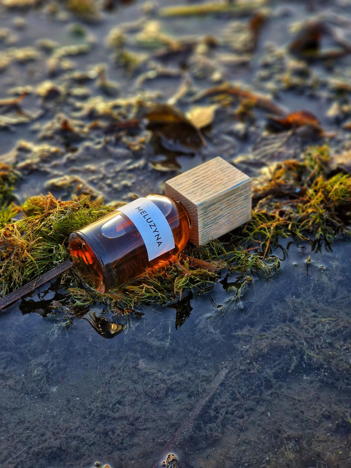 Meluzyna Le Frag perfume - a fragrance for women and men 2022