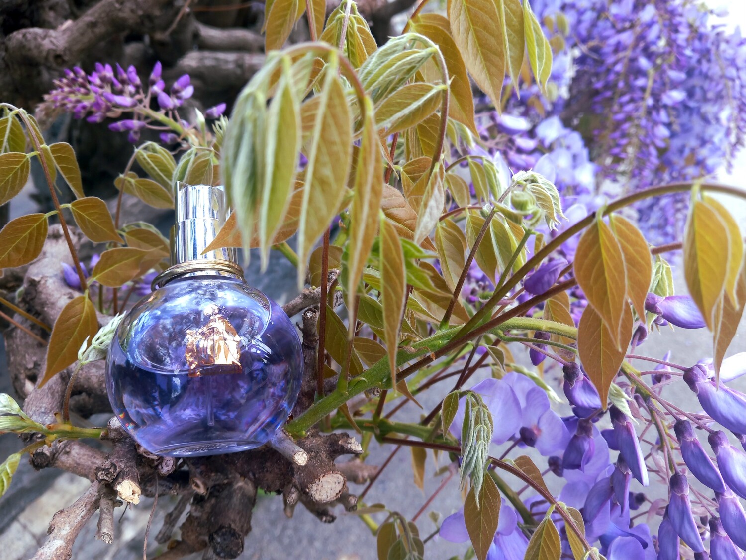 Eclat d’Arpège Lanvin perfume - a fragrance for women 2002