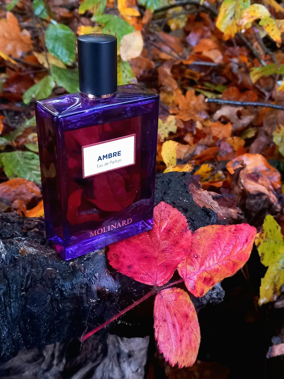 Ambre Eau de Parfum Molinard perfume - a fragrance for women and men 2015