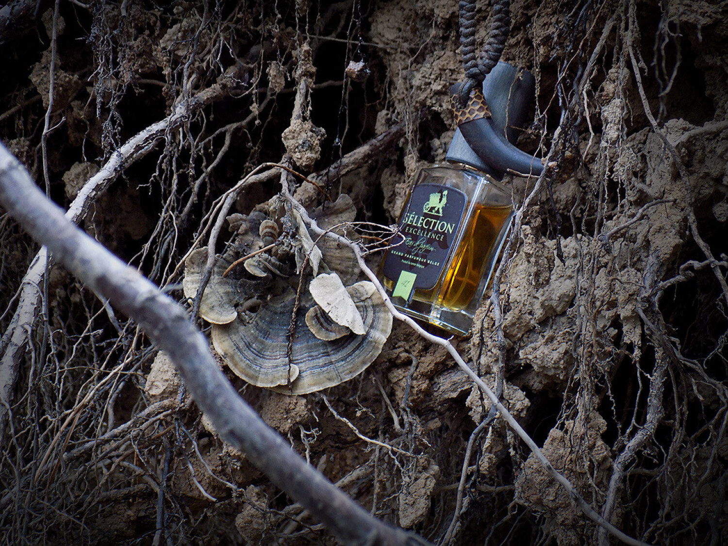 No. 41 Sélection Excellence cologne - a fragrance for men