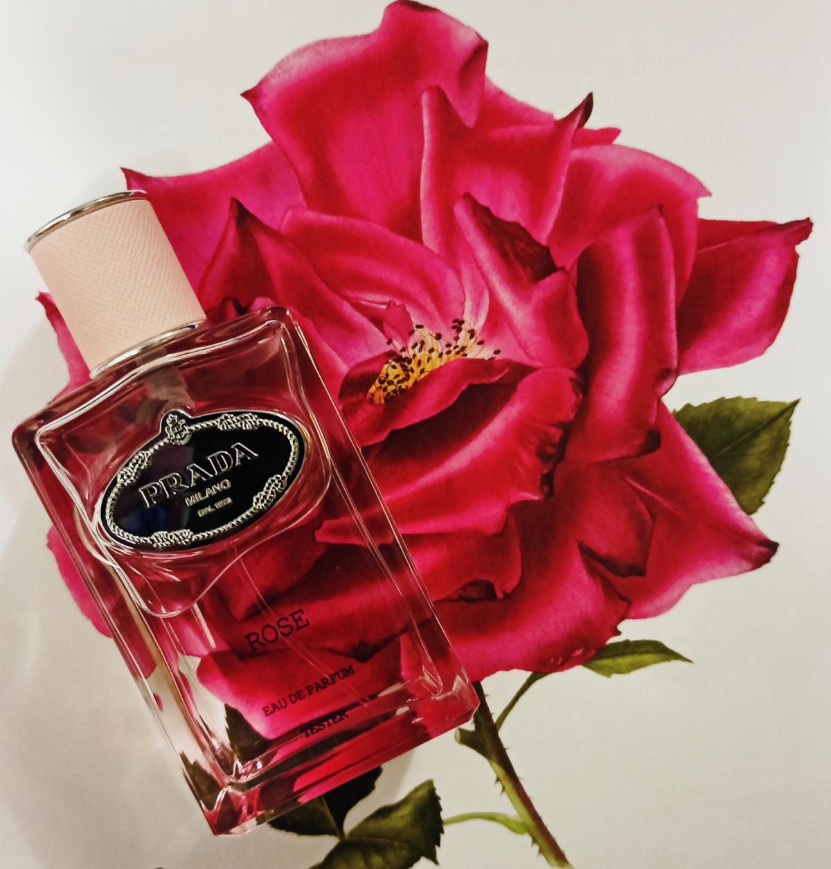 Infusion de Rose Prada perfume - a fragrance for women 2011