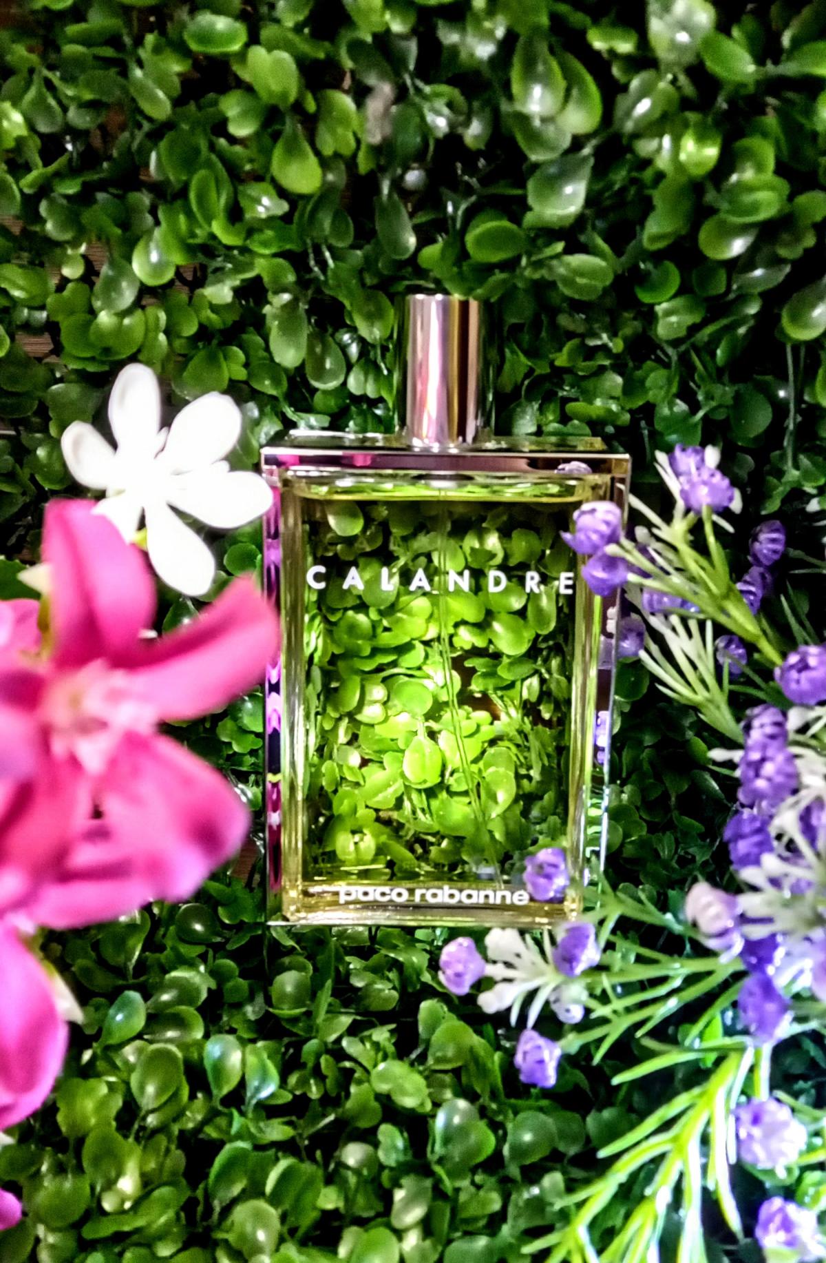 Calandre Rabanne perfume - a fragrance for women 1969