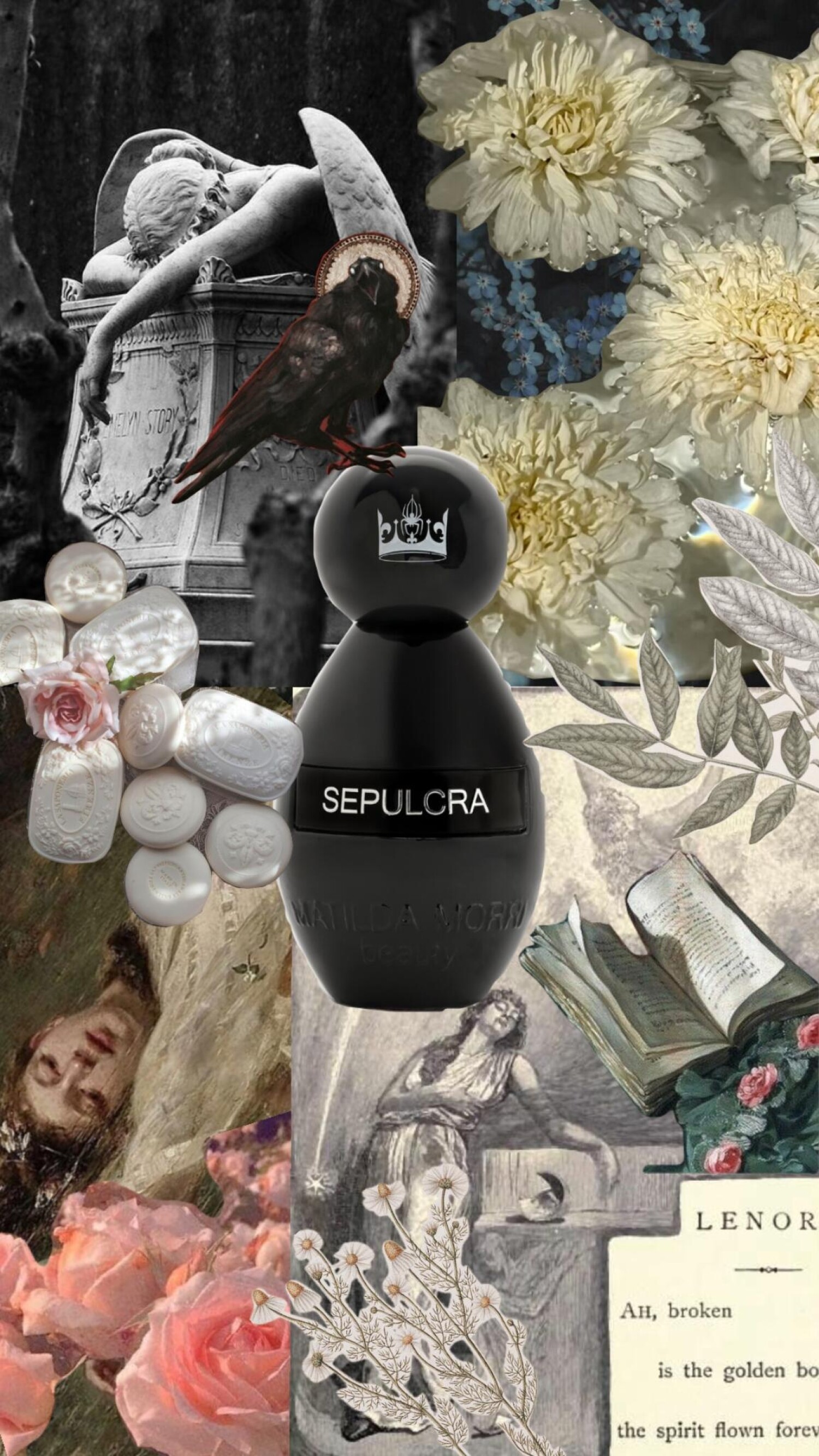 Sepulcra Matilda Morri Beauty perfume - a new fragrance for women and ...
