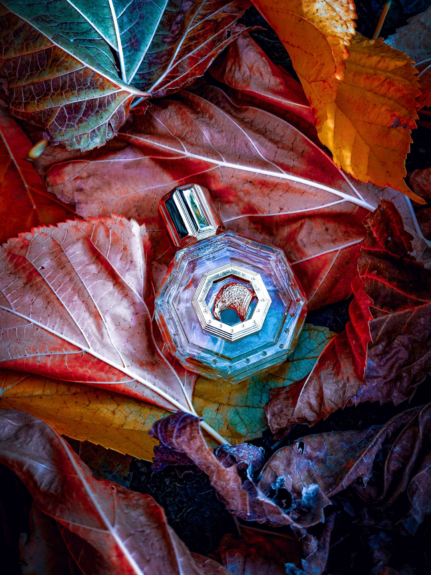 Royal Eagle Gold Stefano Ricci cologne - a fragrance for men