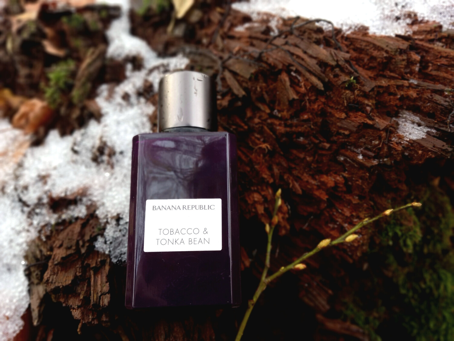 Tobacco & Tonka Bean Banana Republic perfume - a fragrance for women ...