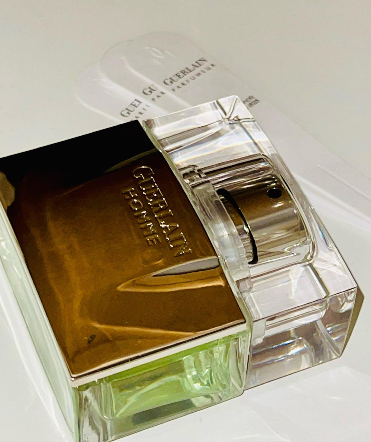 Guerlain Homme Guerlain cologne - a fragrance for men 2008