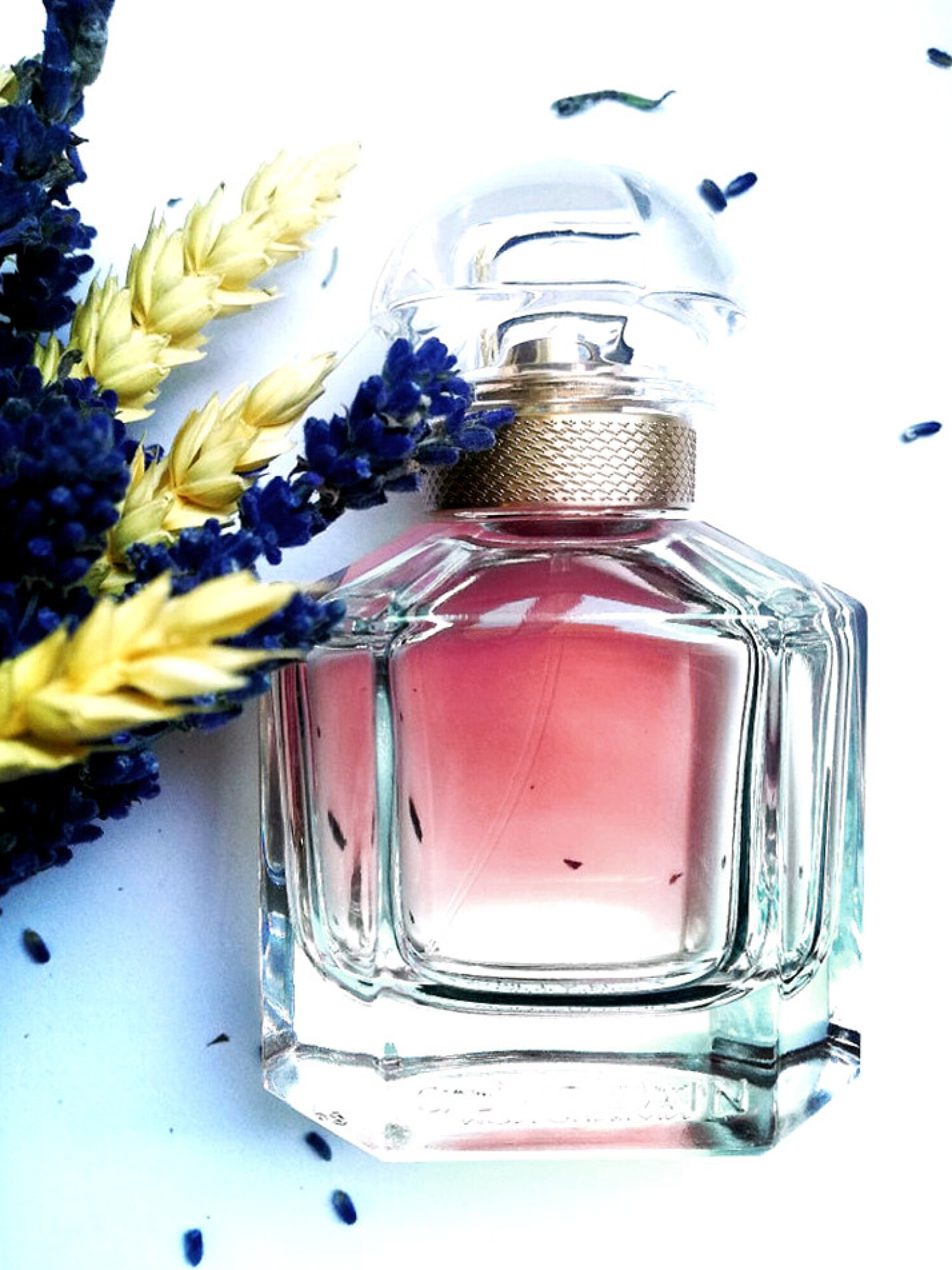 Mon Guerlain Guerlain perfume - a fragrance for women 2017