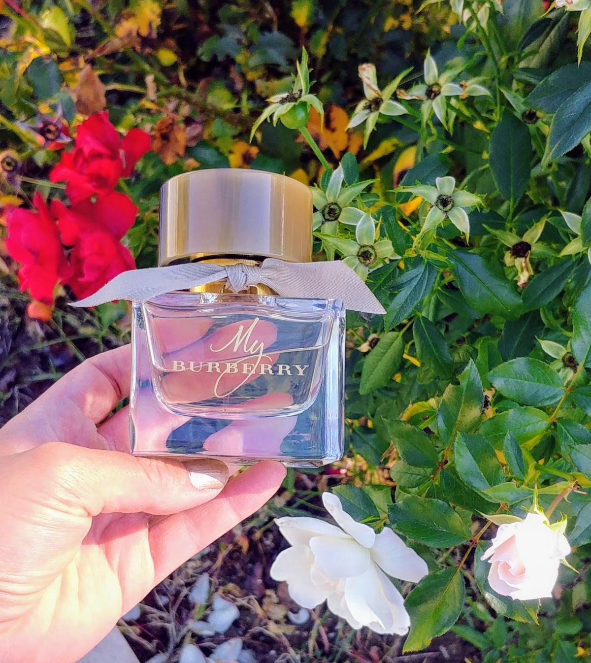 My Burberry Burberry perfume - a fragrance for women 2014