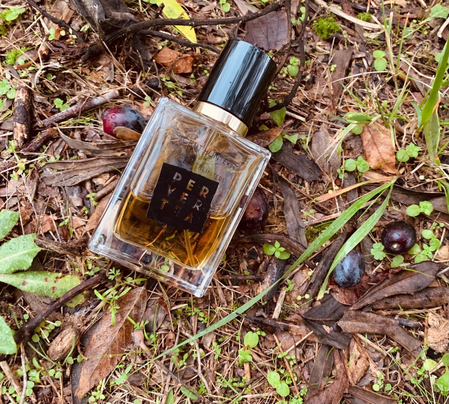 Pervertea Scent Hunters fragancia - una fragancia para Hombres y ...