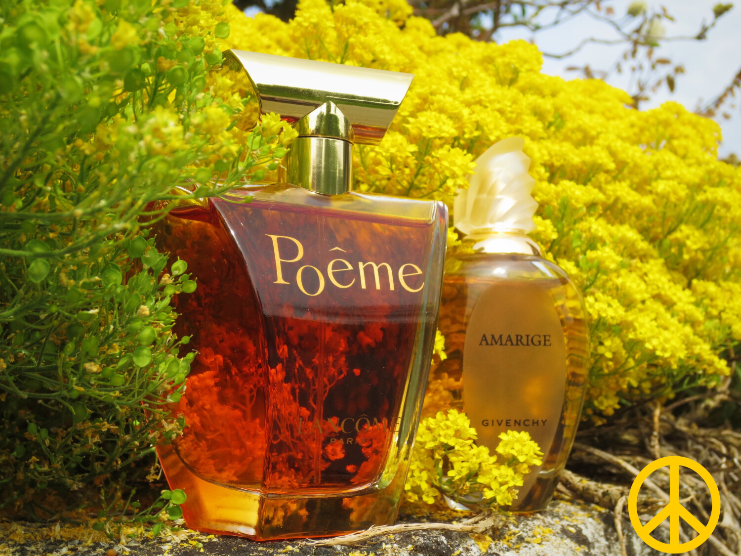 Amarige Givenchy perfume - a fragrance for women 1991