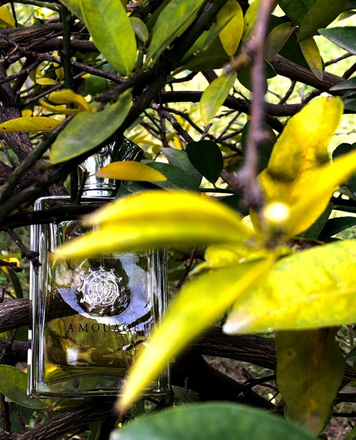 Reflection Man Amouage одеколон — аромат для мужчин 2007