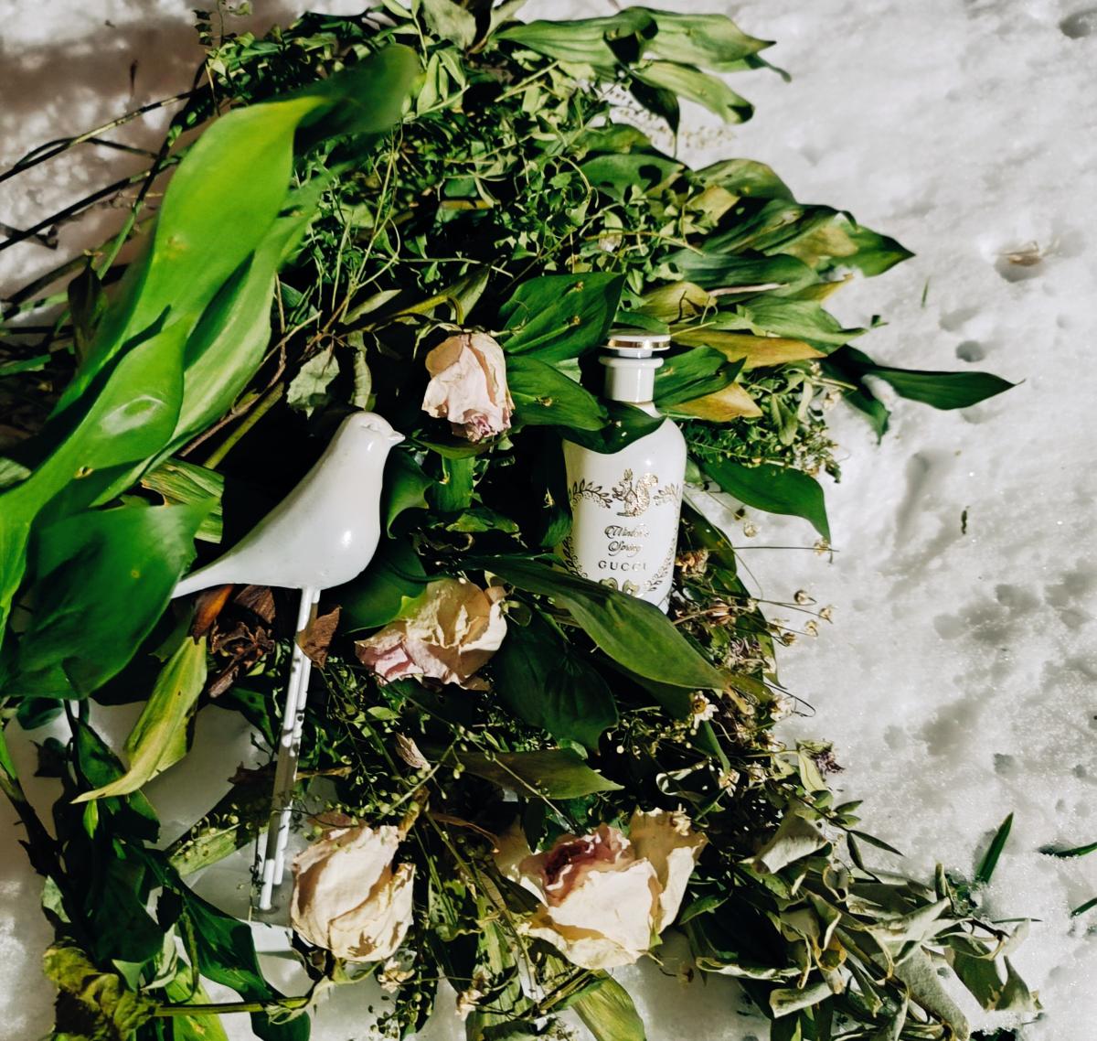 Winter's Spring Eau de Parfum Gucci perfume - a fragrance for women and ...