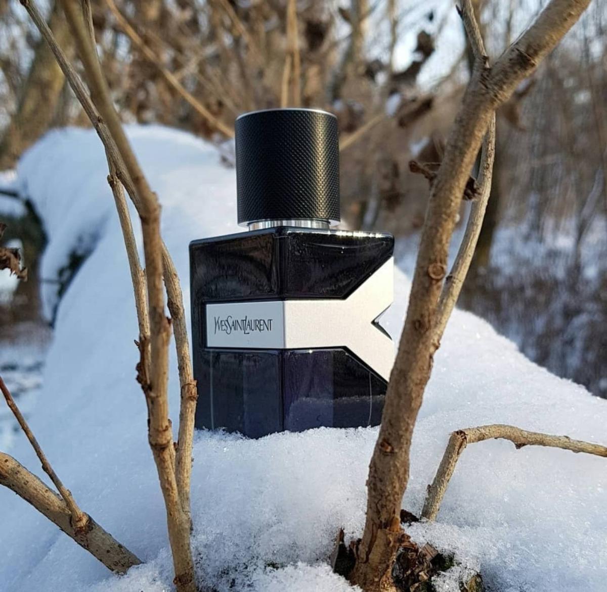 Y Eau de Parfum Yves Saint Laurent cologne - a fragrance for men 2018