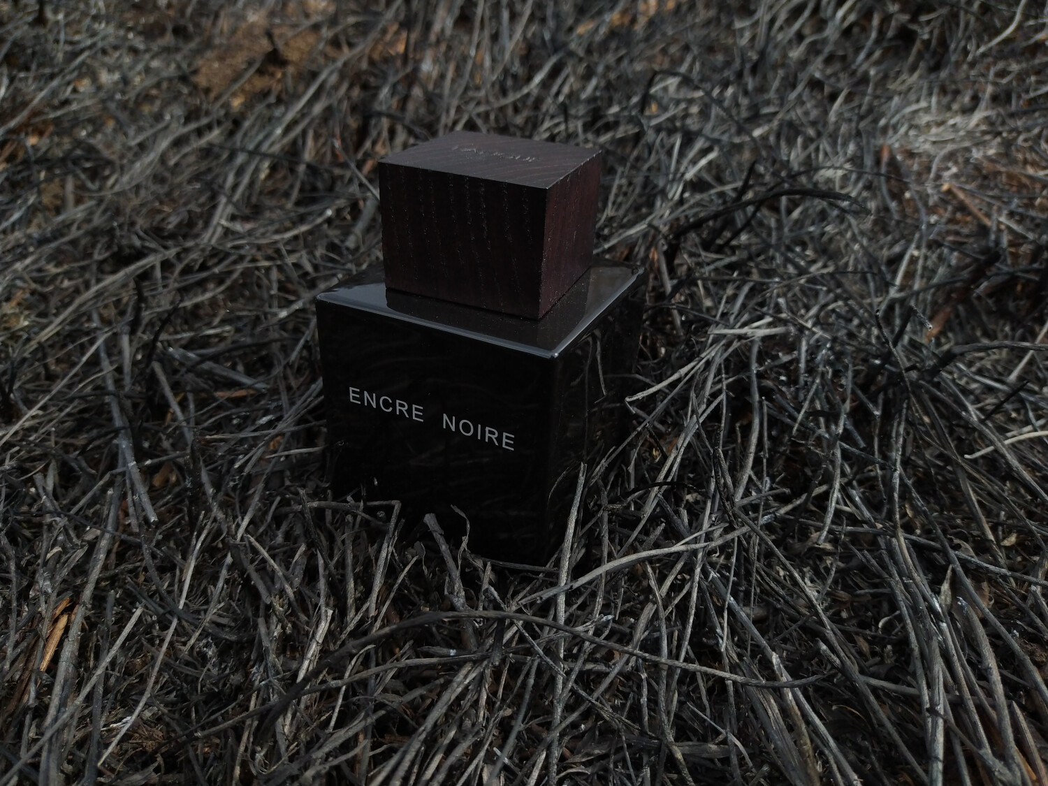 Encre Noire Lalique cologne - a fragrance for men 2006
