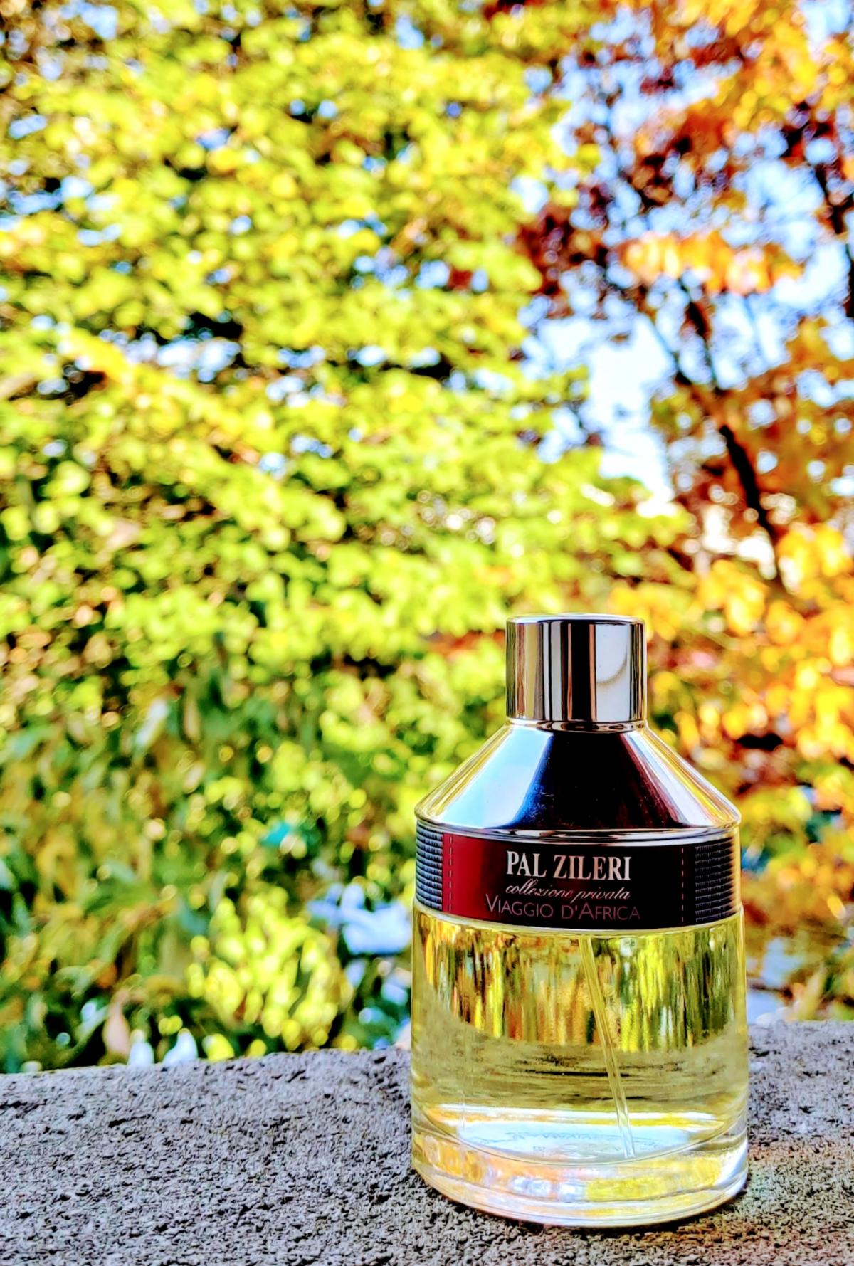 Collezione Privata Viaggio d'Africa Pal Zileri cologne - a fragrance ...