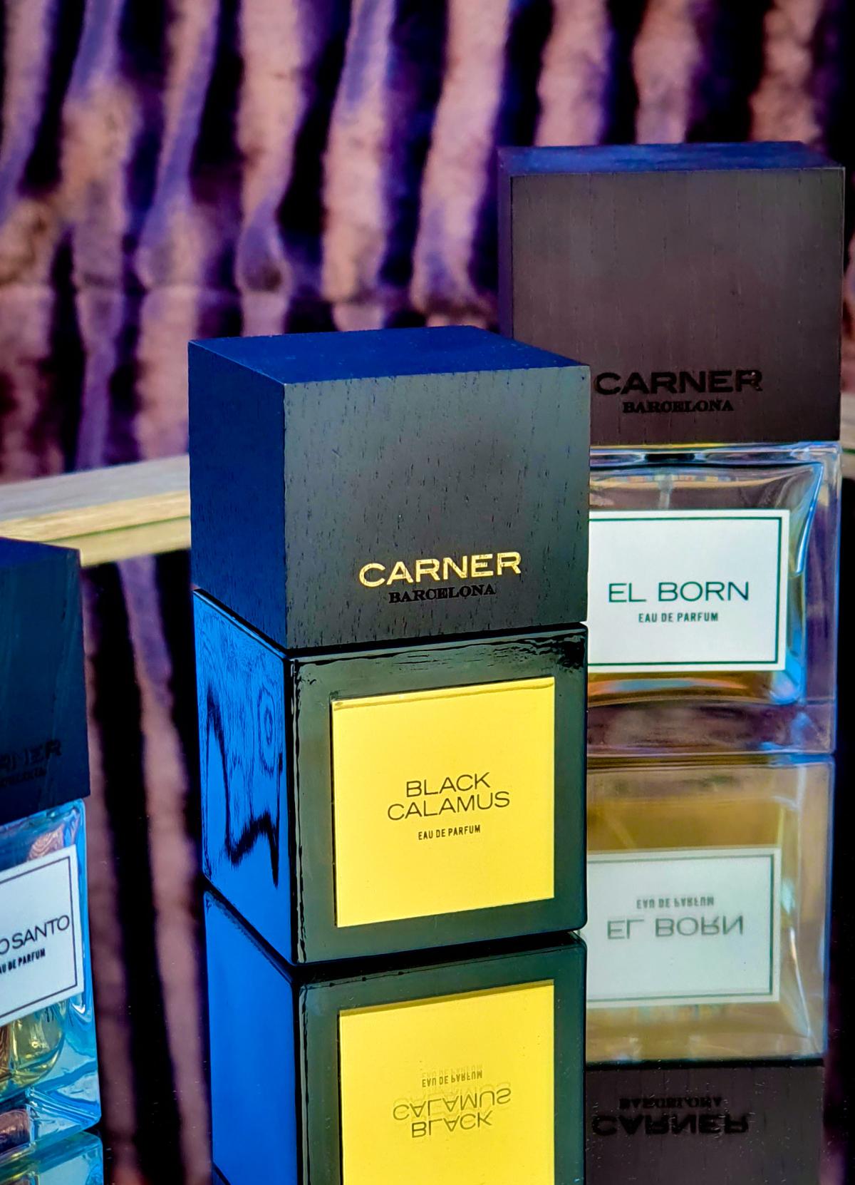 Black Calamus Carner Barcelona perfume - a fragrance for women and men 2016