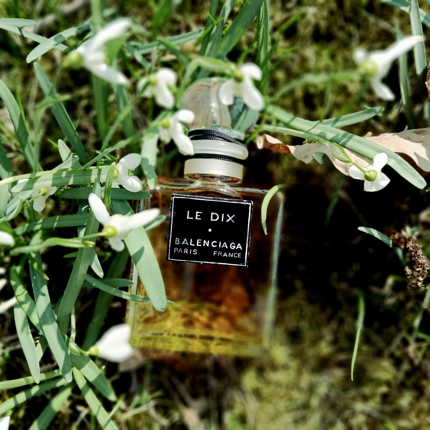 Le Dix (2025) Balenciaga perfume - a new fragrance for women and men 2025