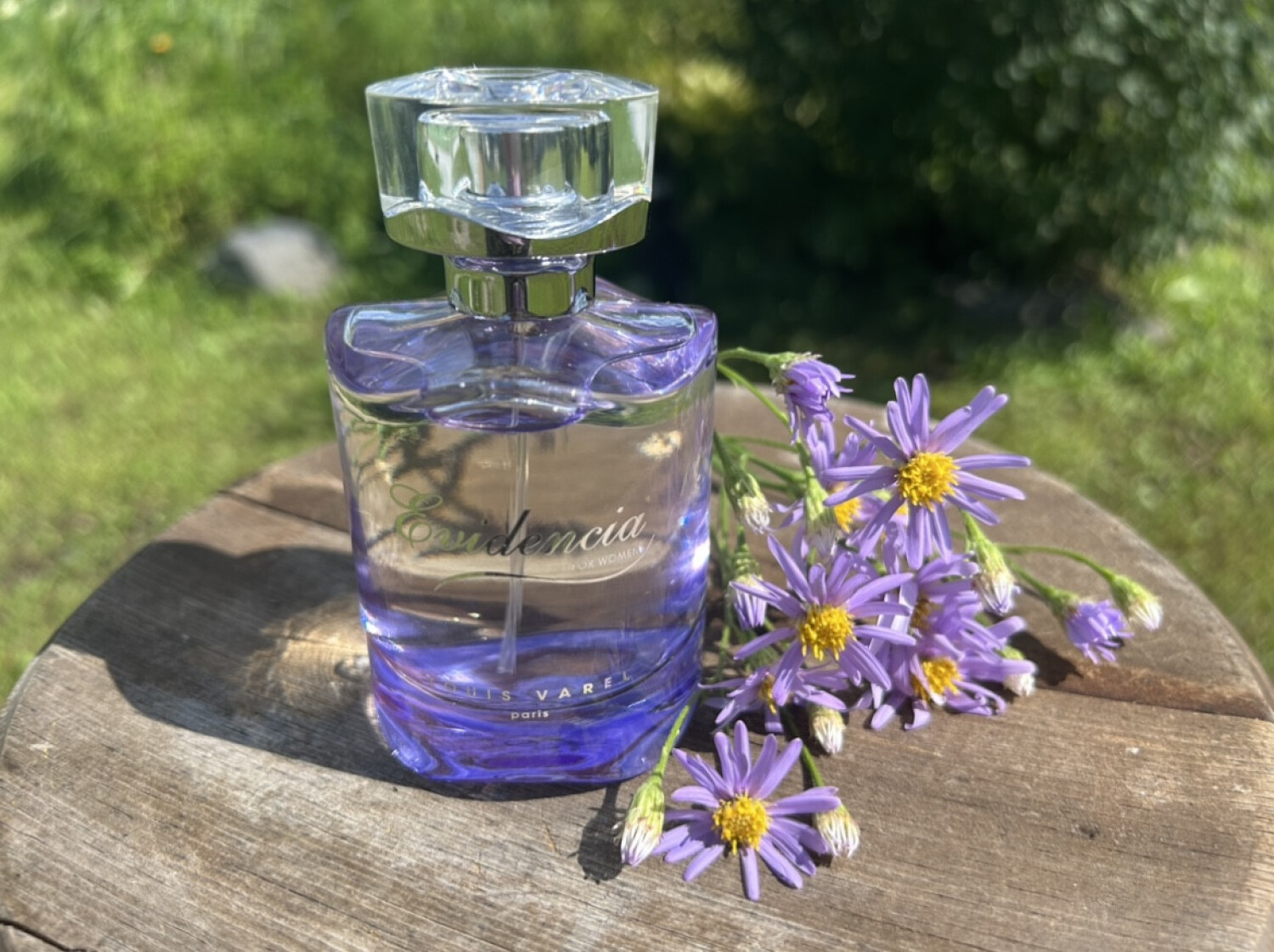 Evidencia Louis Varel perfume - a fragrance for women 2011