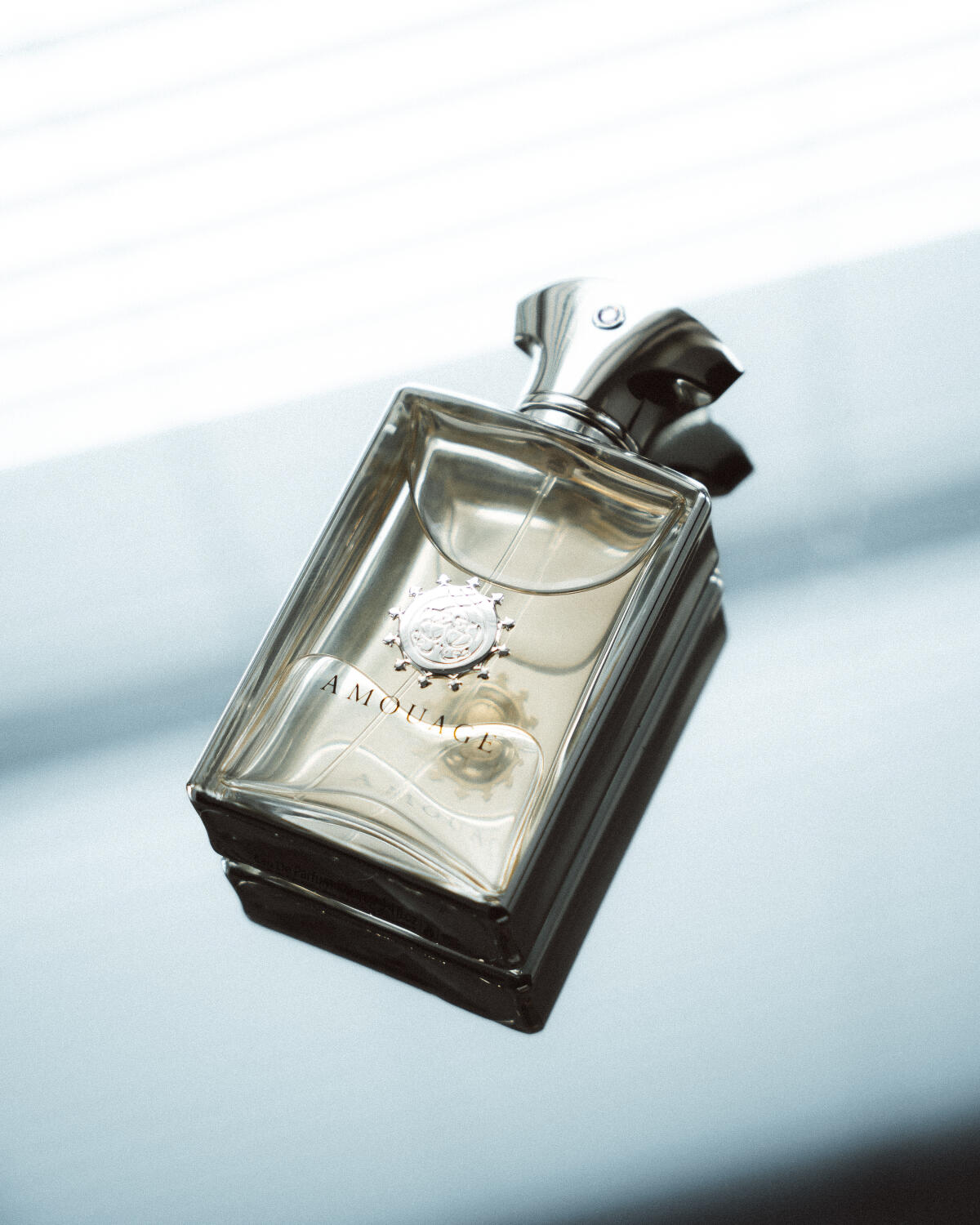 Reflection Man Amouage cologne - a fragrance for men 2006