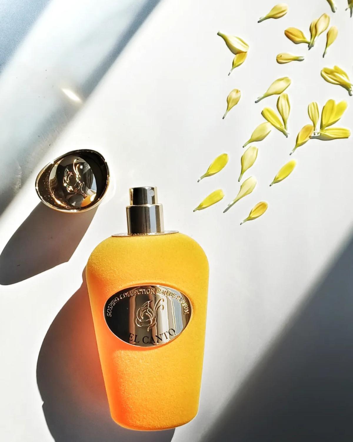 Bel Canto Sospiro Perfumes perfume - a new fragrance for women and men 2022