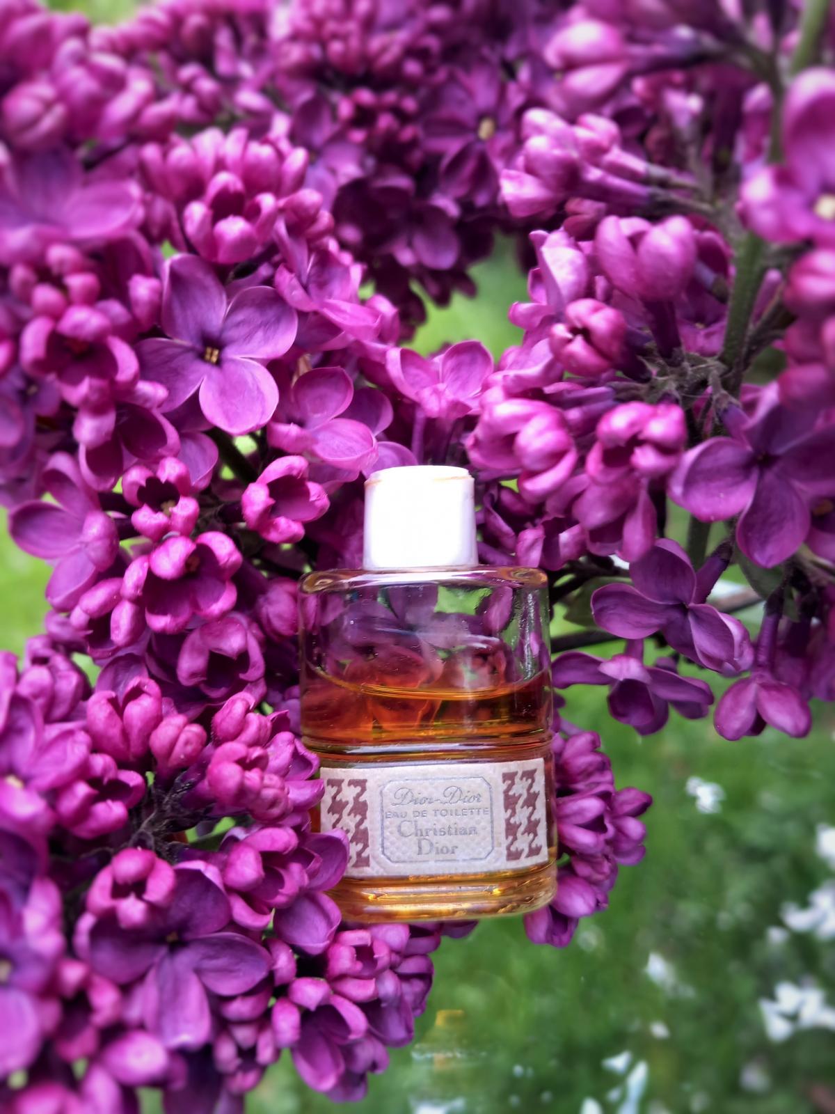 Dior Dior Dior perfume - a fragrance for women 1976