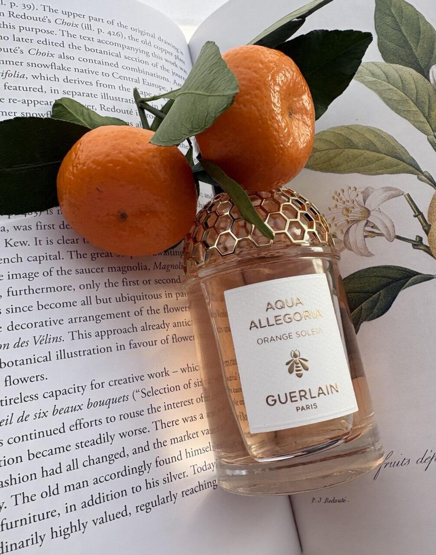 Aqua Allegoria Orange Soleia Guerlain perfume - a fragrance for women ...