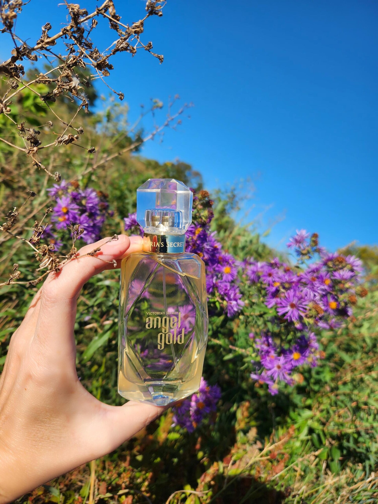 Angel Gold Victoria's Secret perfume - a fragrance for women 2015