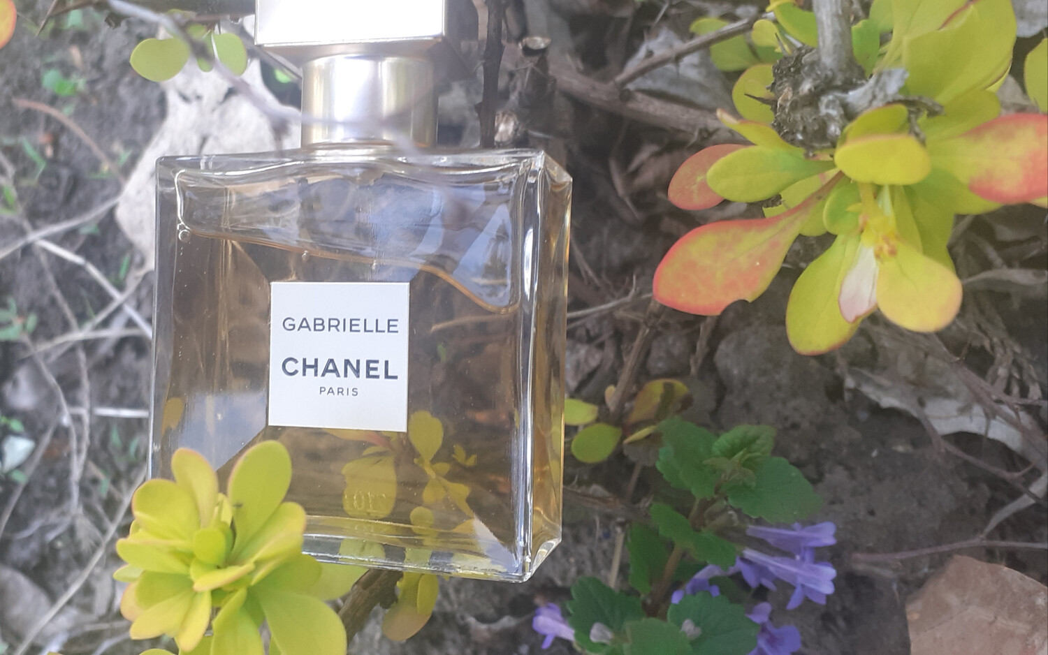 Gabrielle Chanel perfume - a fragrance for women 2017