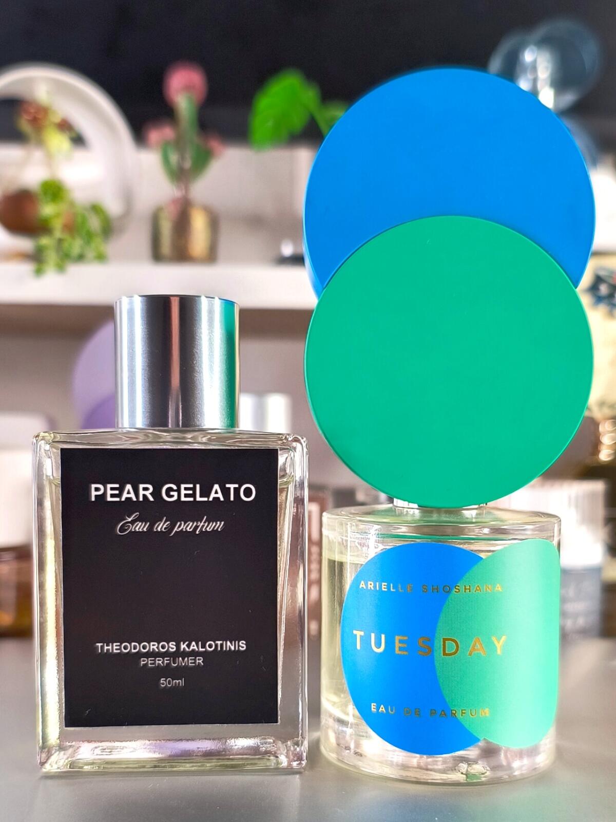 Tuesday Arielle Shoshana perfume - a new fragrance for women and men 2024