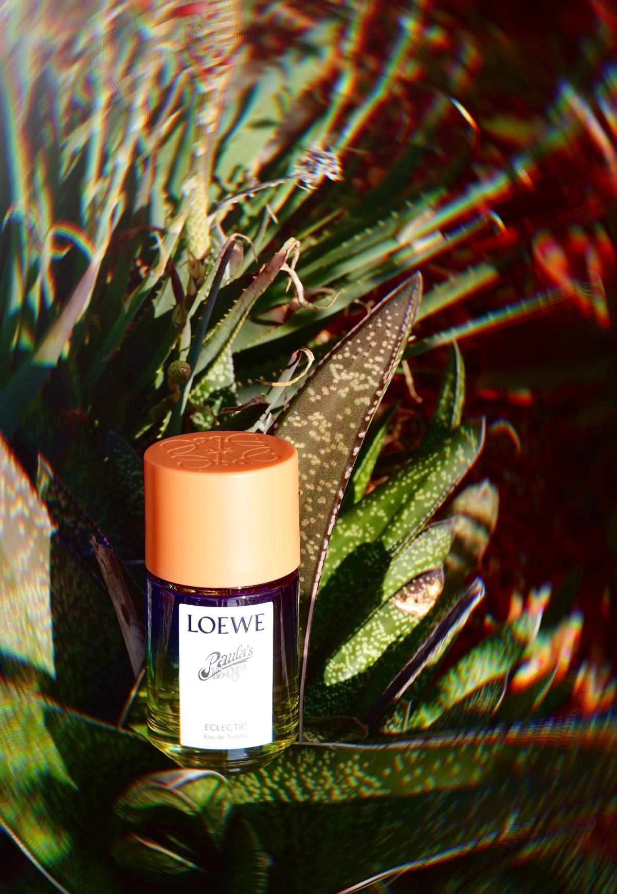 Paula's Ibiza Eclectic Loewe perfume - a fragrance for women and men 2022