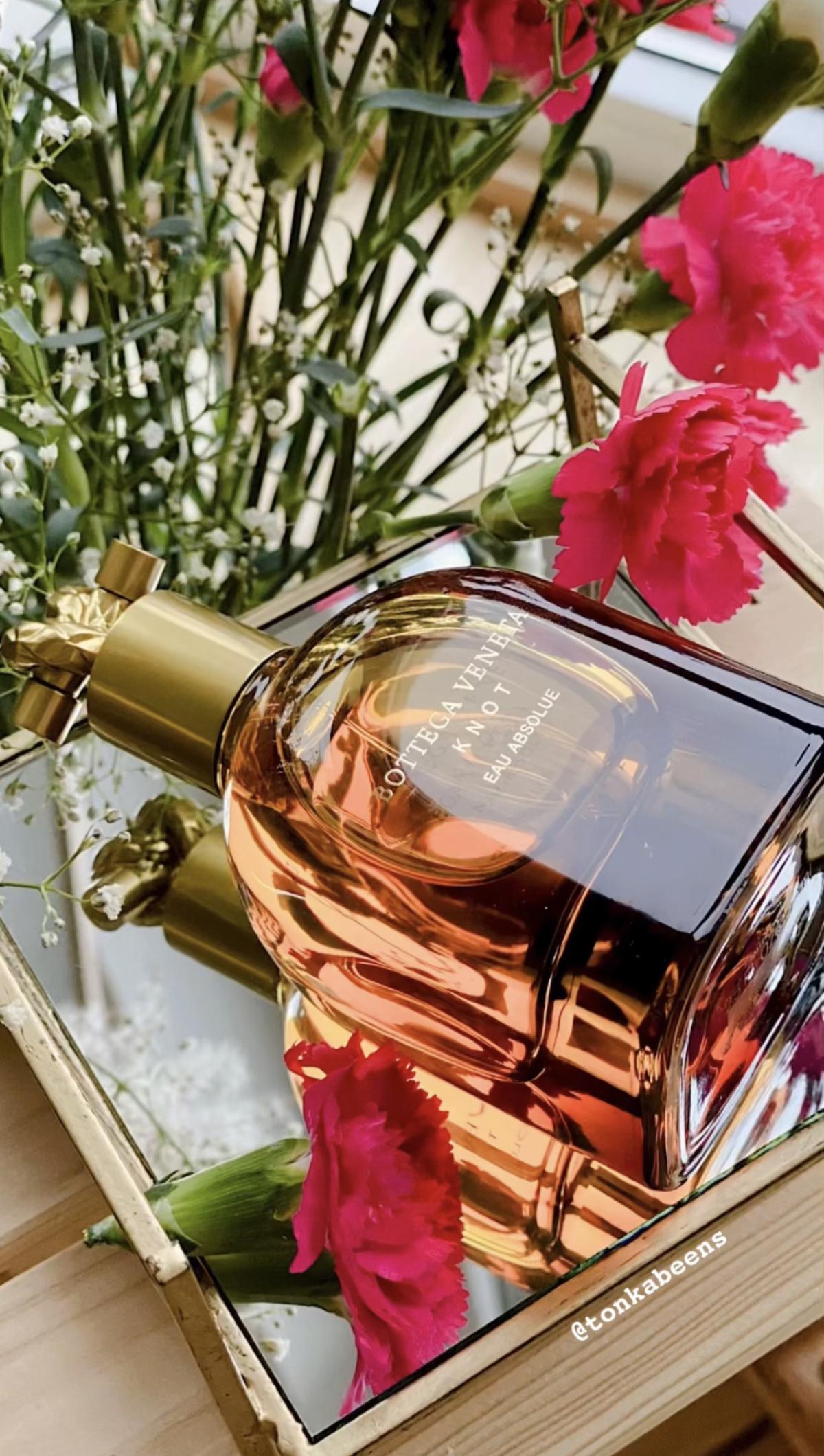 Knot Eau Absolue Bottega Veneta perfume - a fragrance for women 2018