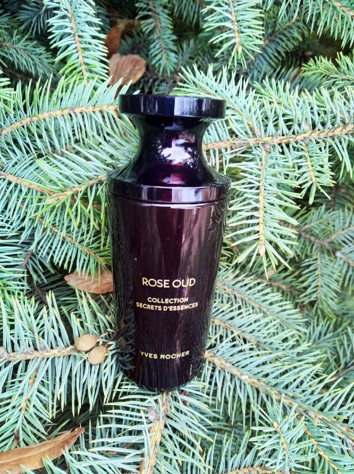 Rose Oud Yves Rocher - una fragranza da donna 2016