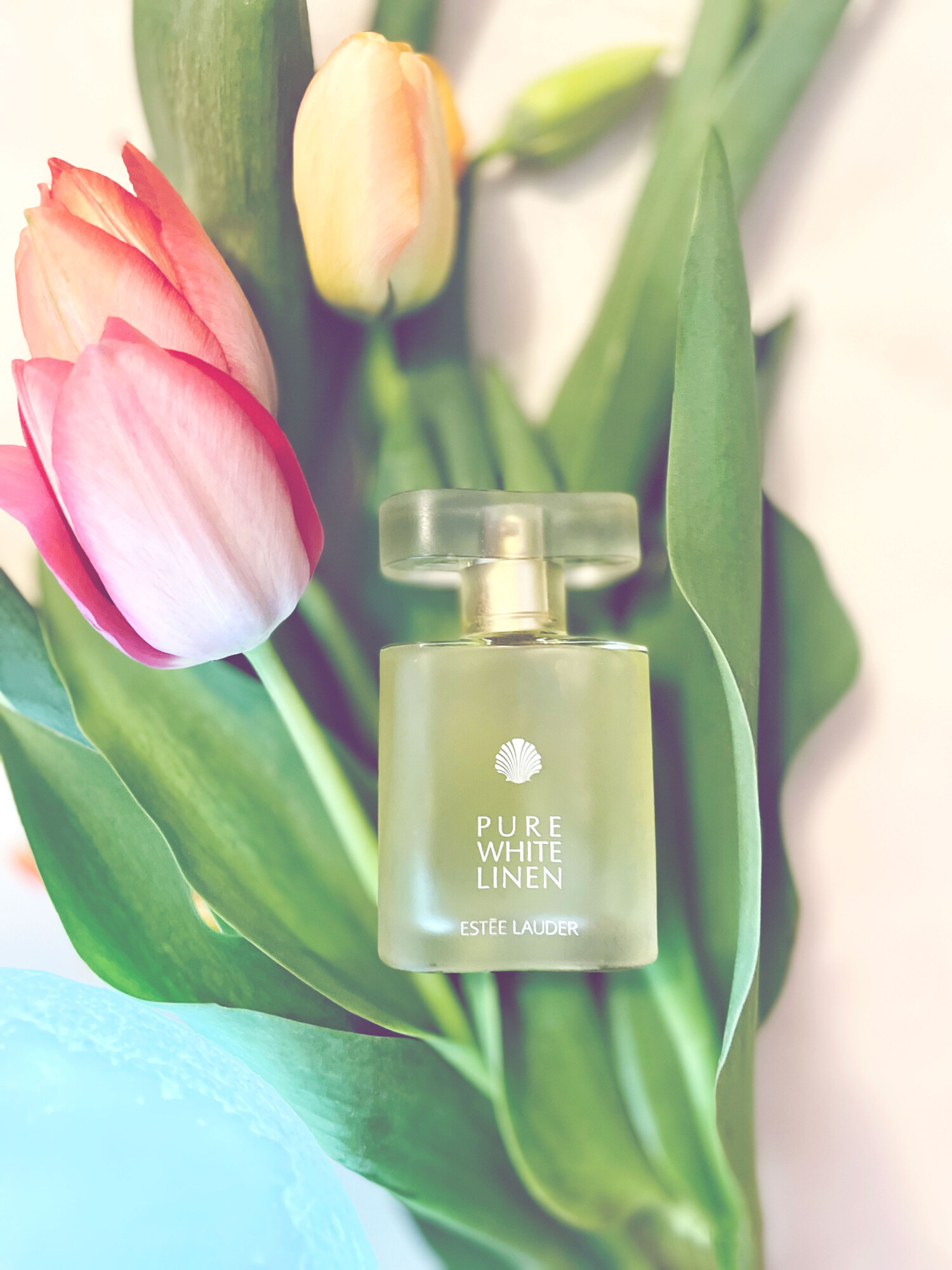 Pure White Linen Estée Lauder perfume - a fragrance for women 2006