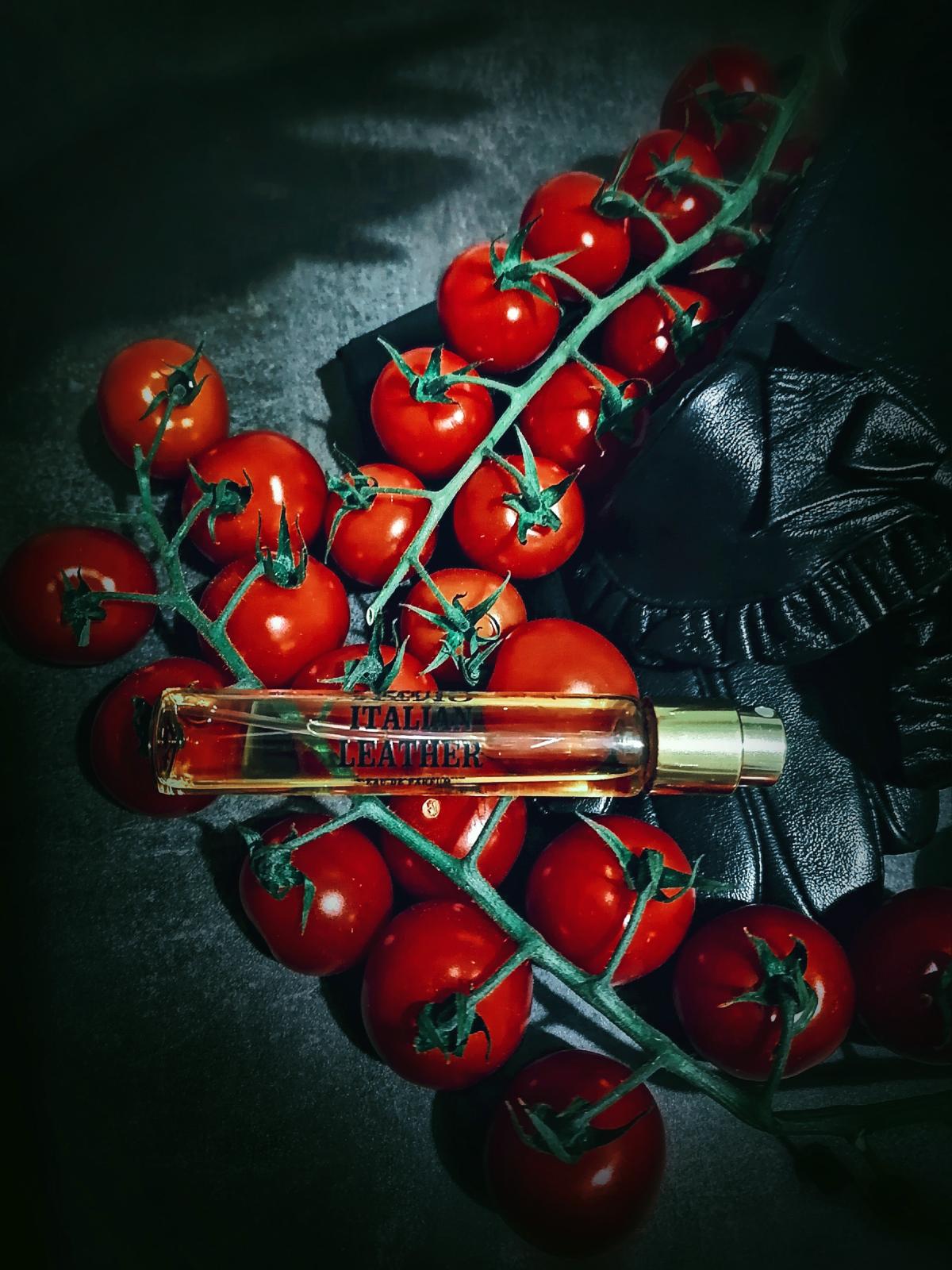 Italian Leather Memo Paris perfume - a fragrance for women and men 2013