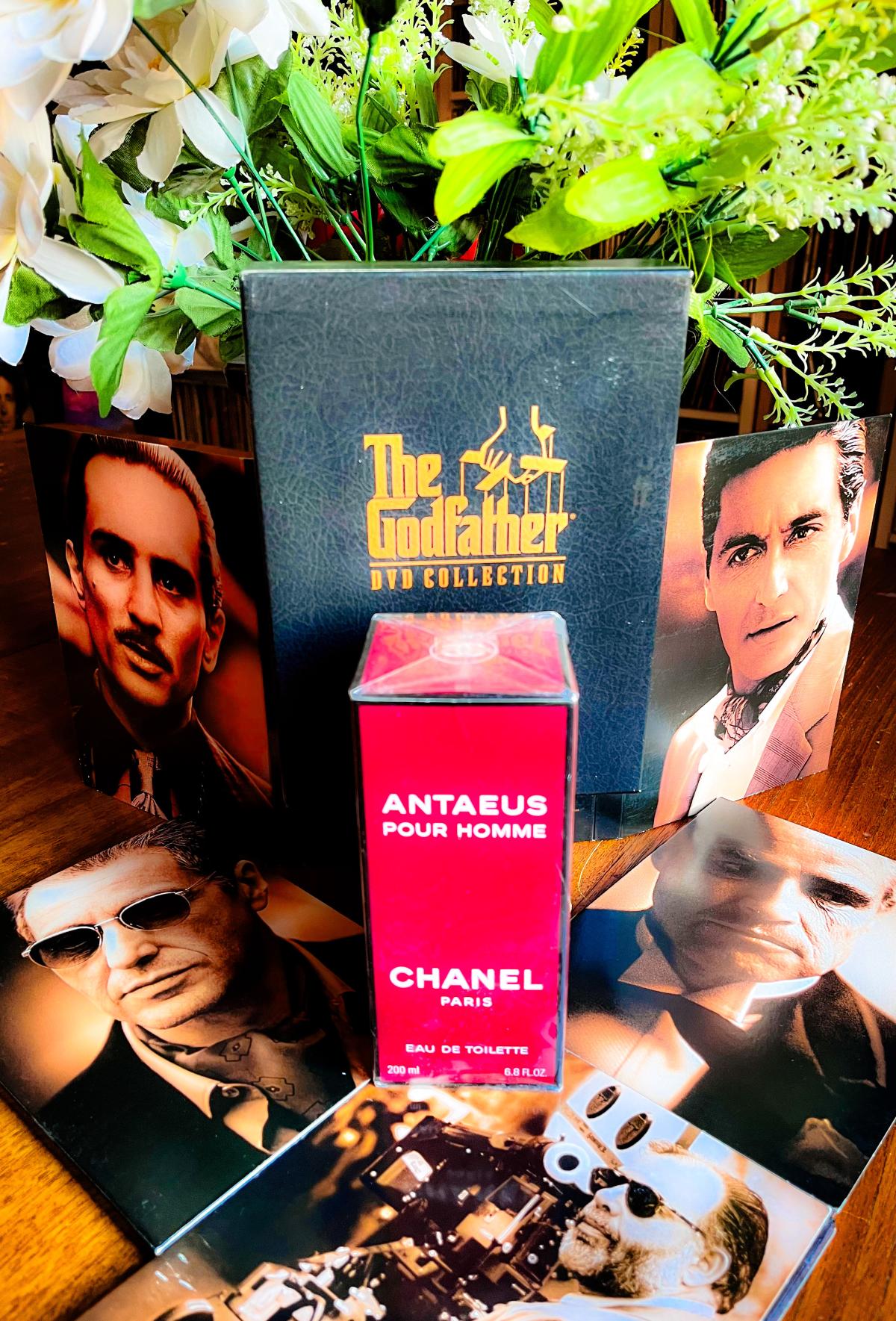 Antaeus Chanel cologne - a fragrance for men 1981