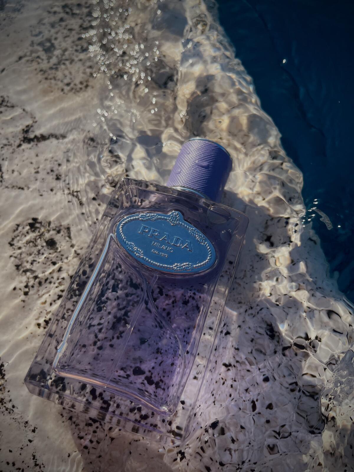 Infusion de Figue Prada perfume - a new fragrance for women and men 2023