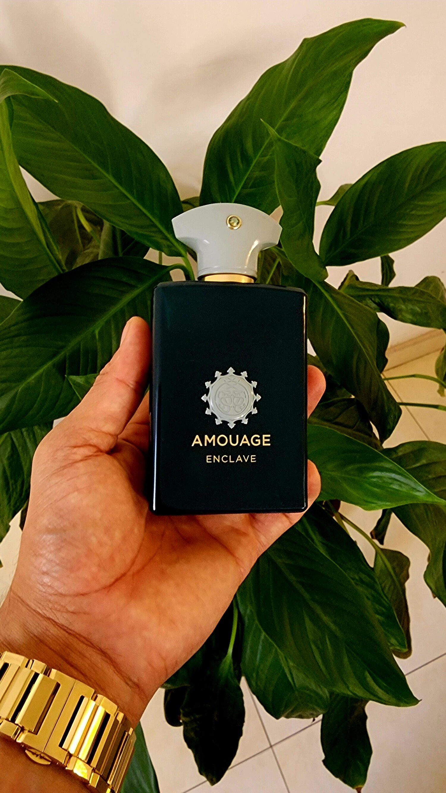 Enclave Amouage perfume - a fragrância Compartilhável 2020