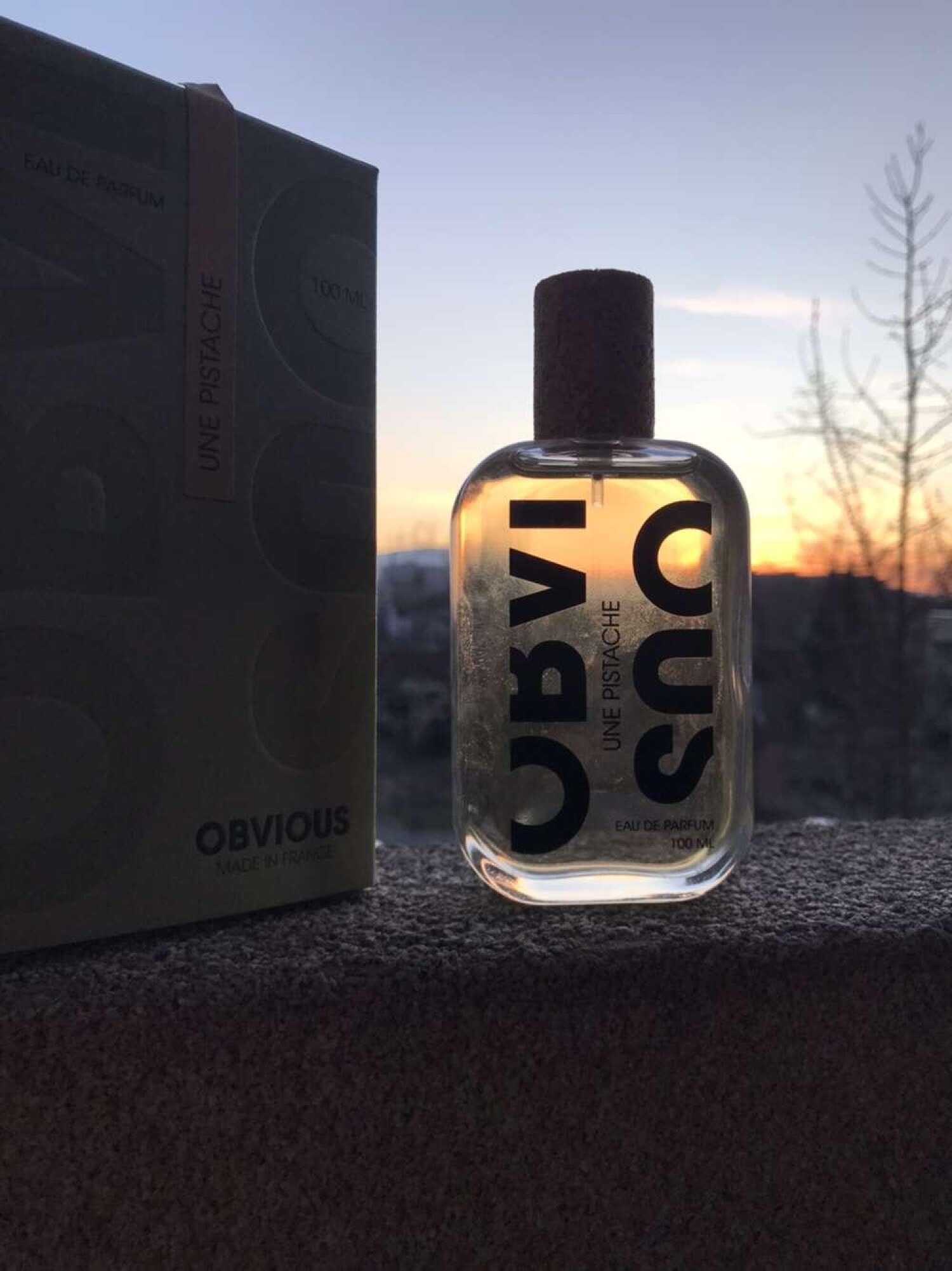 Une Pistache Obvious perfume - a fragrance for women and men 2023