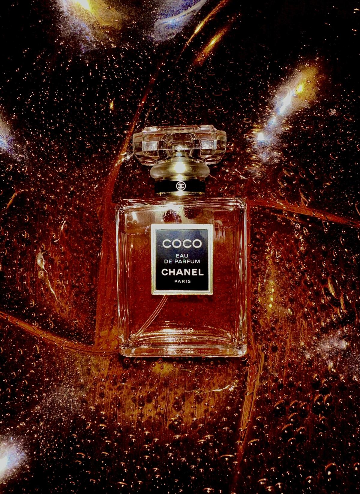 Coco Eau de Parfum Chanel perfume - a fragrance for women 1984