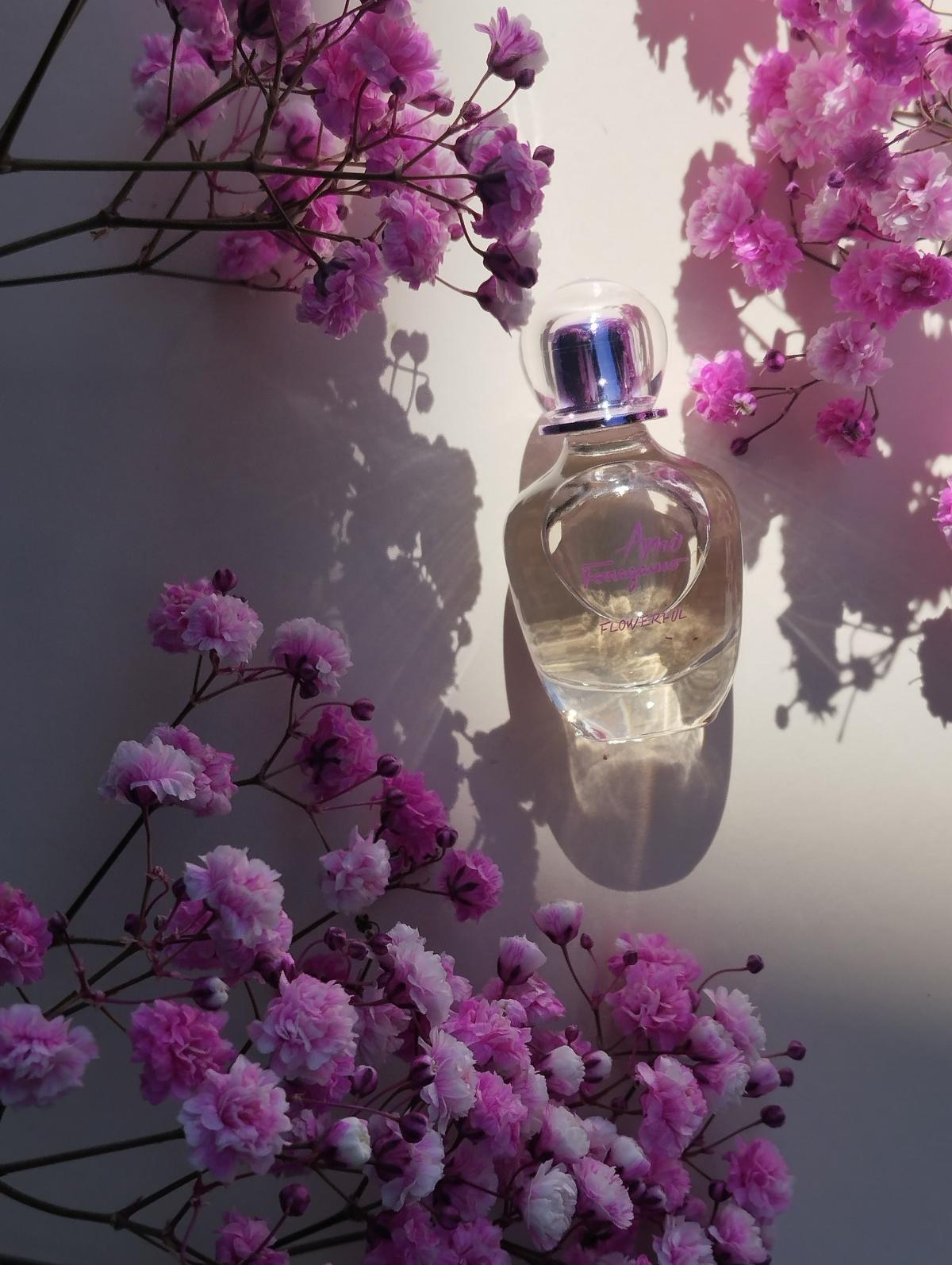 Amo Ferragamo Flowerful Salvatore Ferragamo perfume - a fragrance for ...