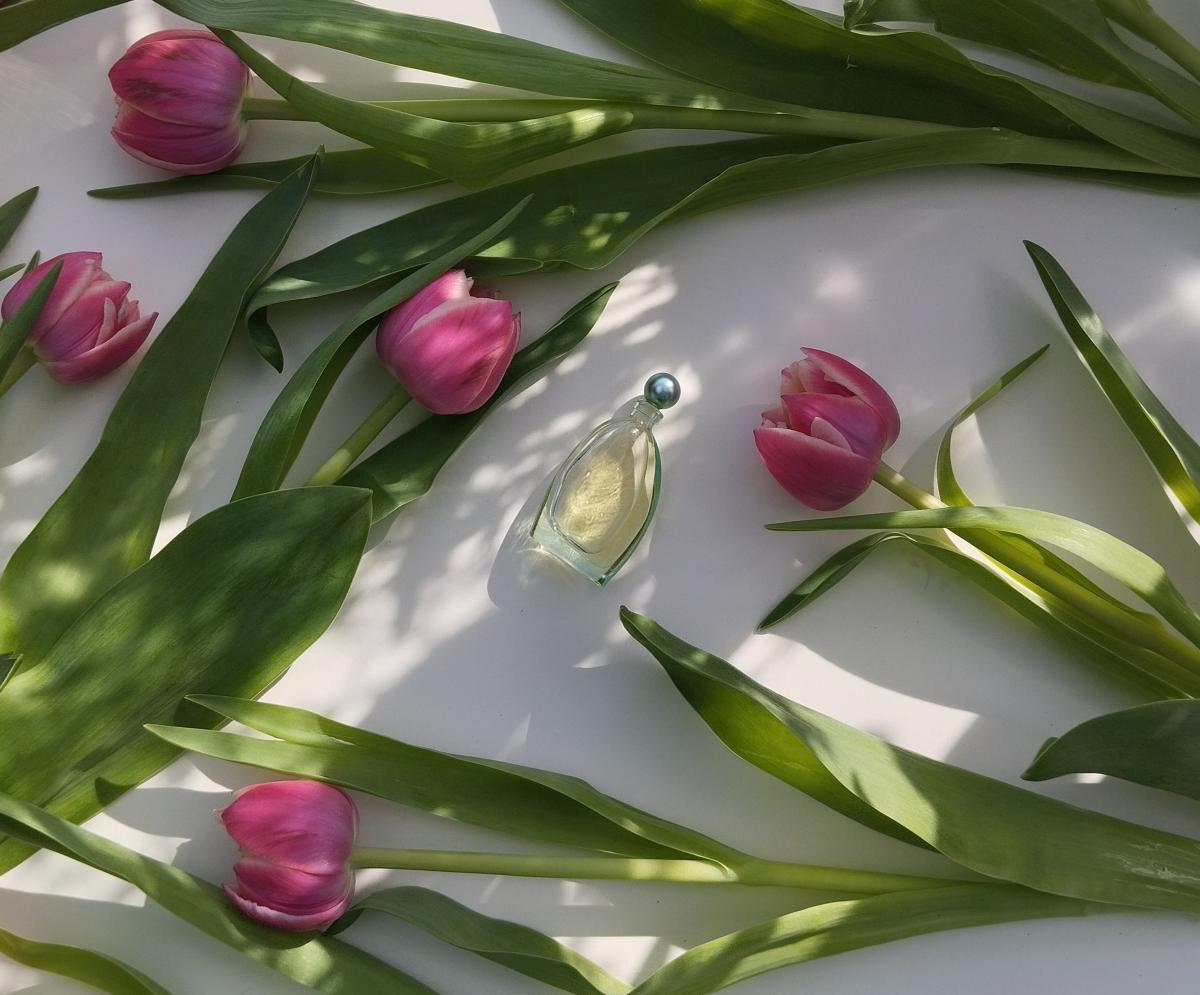 Eau d'Eden Cacharel perfume - a fragrance for women 1996