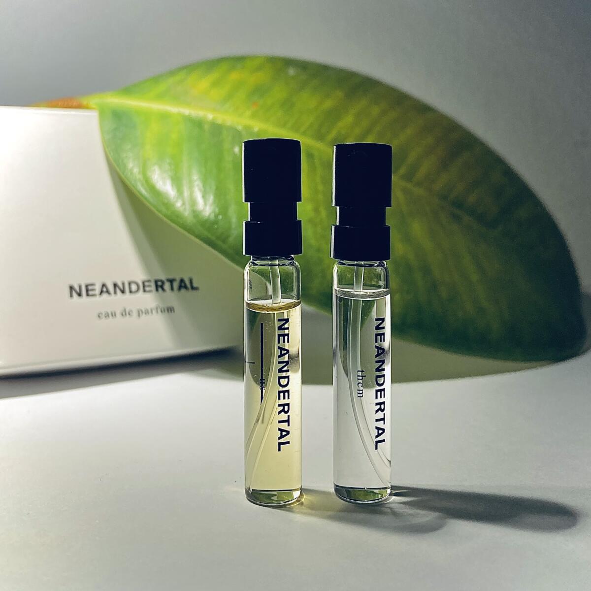 Neandertal Us Neandertal perfume - a fragrance for women and men 2020