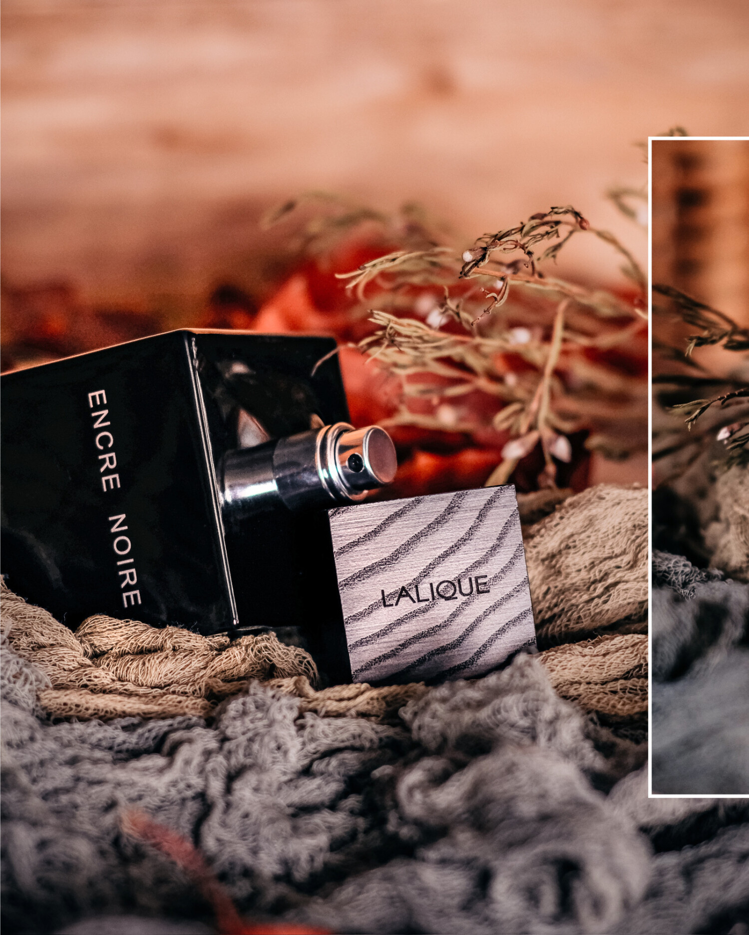 Encre Noire Lalique cologne - a fragrance for men 2006