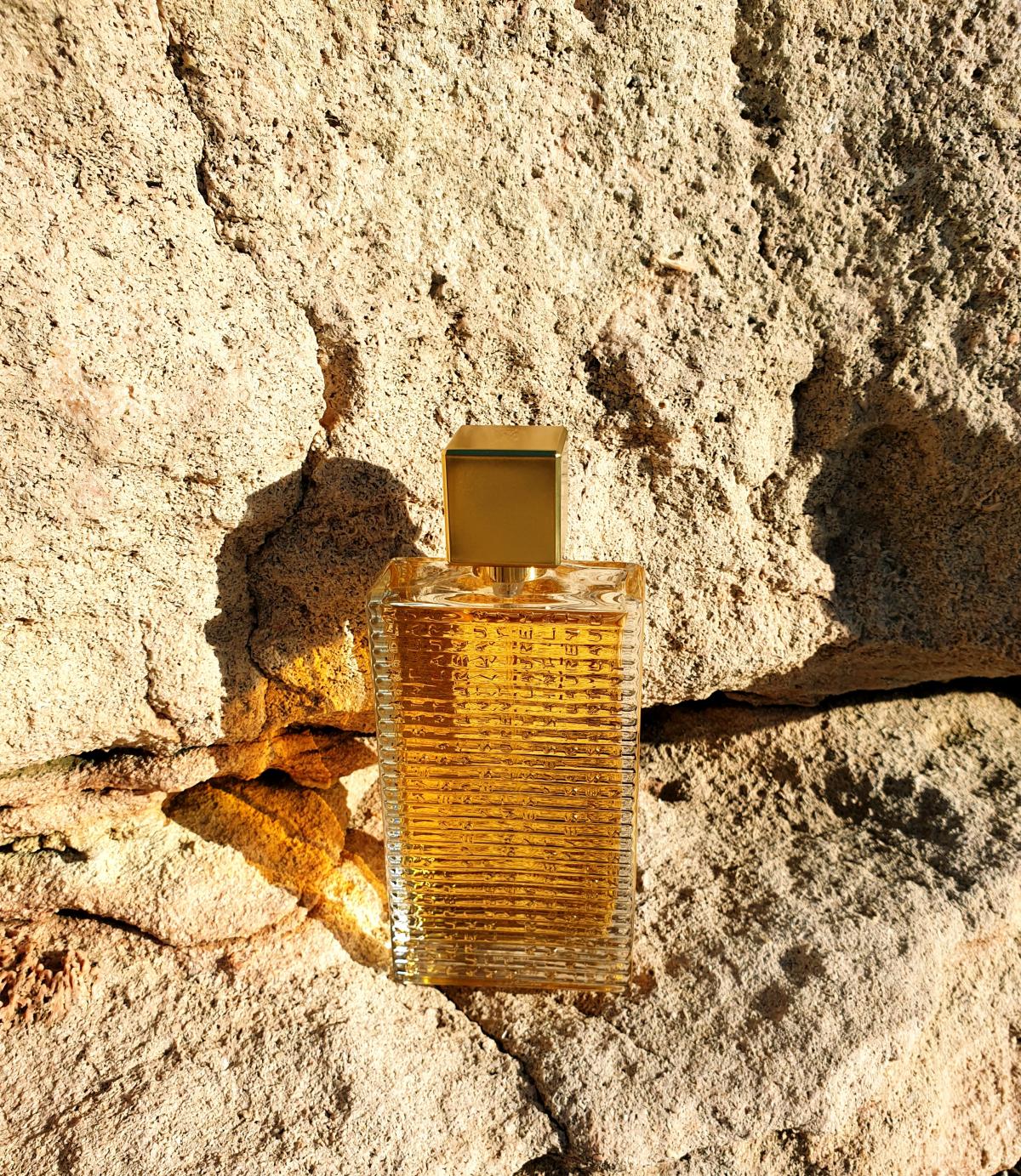 Cinéma Yves Saint Laurent perfume - a fragrance for women 2004