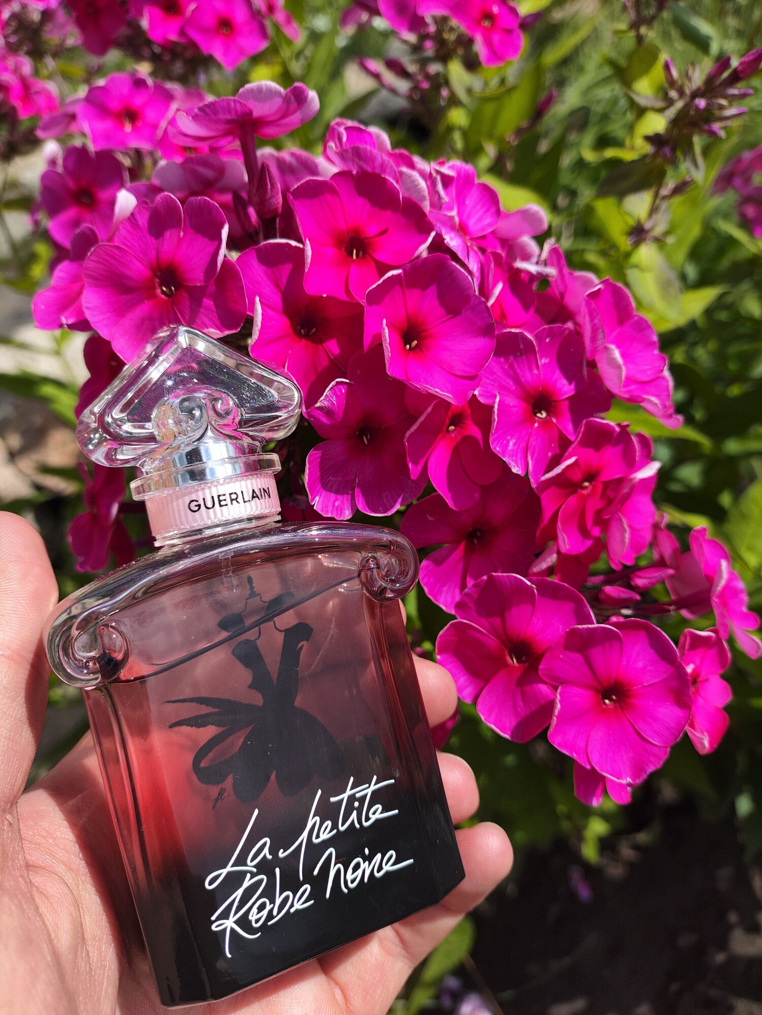 La Petite Robe Noire Eau de Parfum Intense Guerlain perfume - a ...