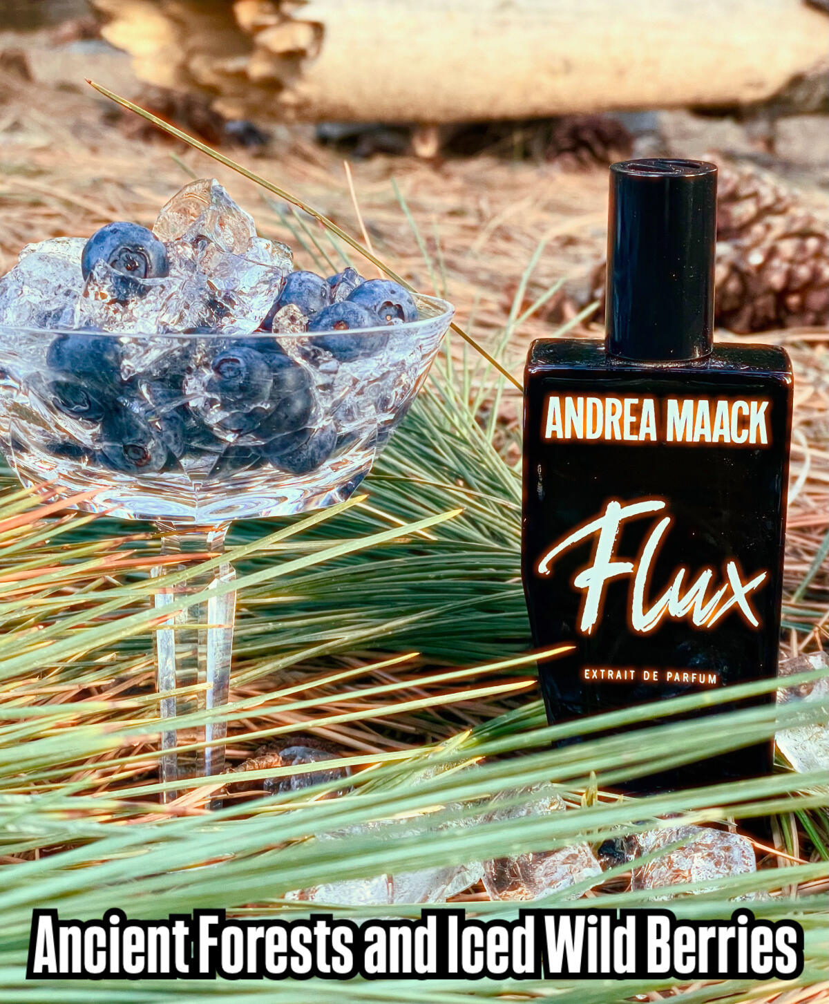 Flux Andrea Maack perfume - a new fragrance for women and men 2025