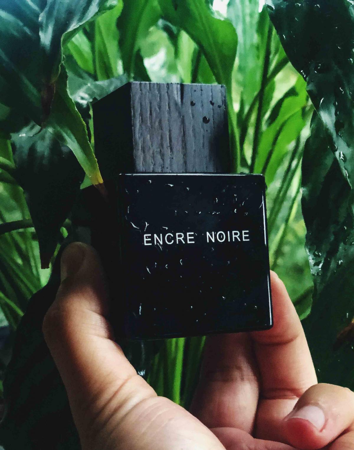 Encre Noire Lalique Colonia - una fragancia para Hombres 2006